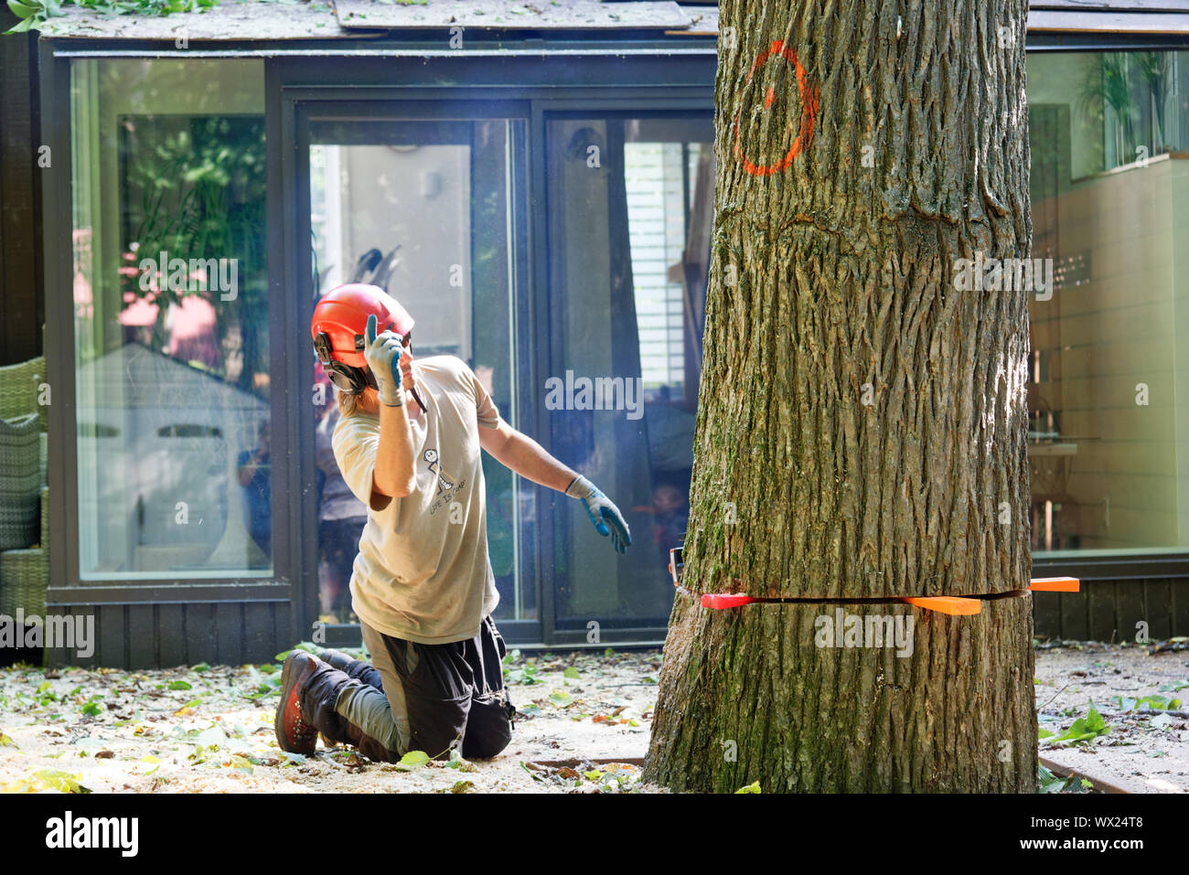 Tree lift hi-res stock photography and images - Alamy