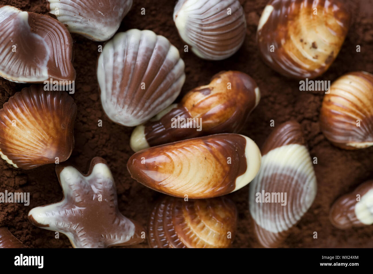 Belgian chocolate seashells hi-res stock photography and images - Alamy