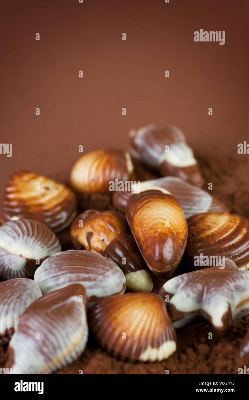Chocolate Seashells Border Stock Photo - Alamy