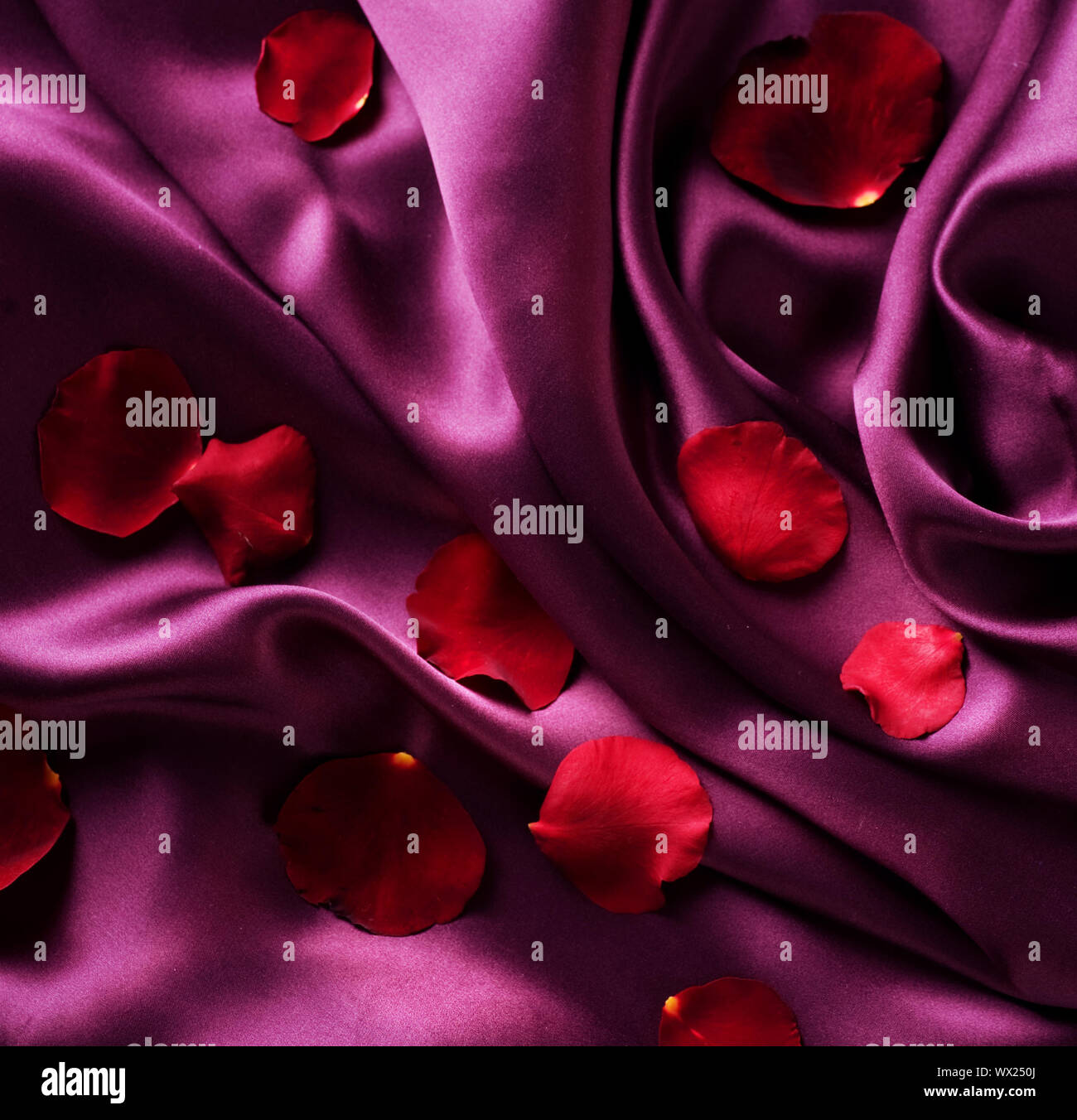 Satin textured petals hi-res stock photography and images - Alamy