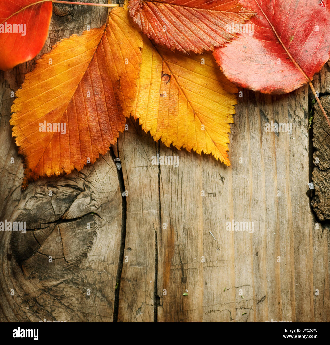 Autumn Leaves over wooden background. With copy space Stock Photo - Alamy