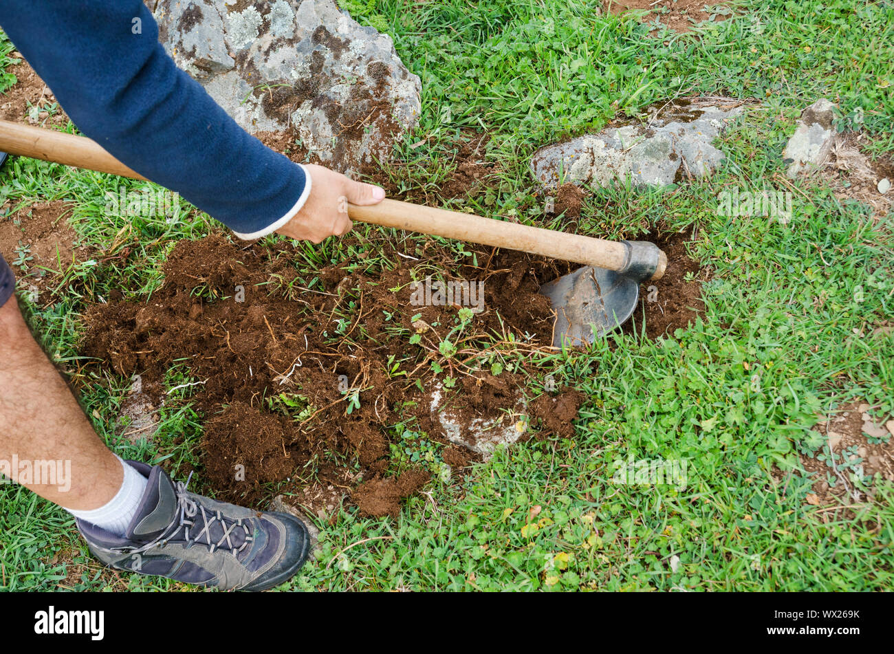 Close up of a man digging with a hoe Stock Photo - Alamy