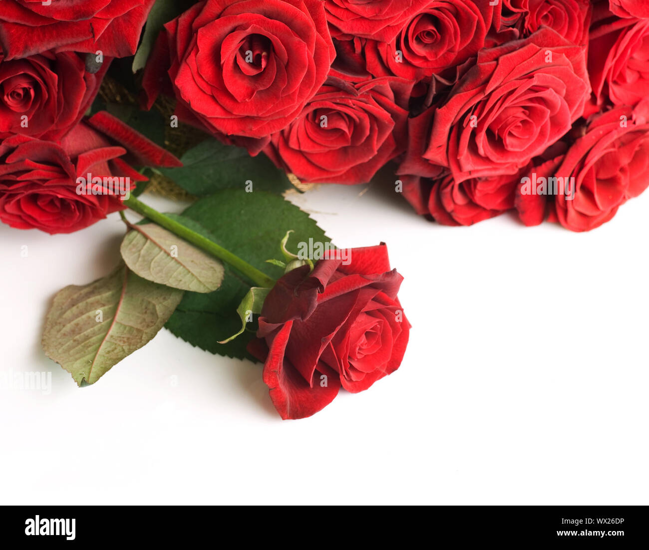 Red Roses Border Stock Photo - Alamy