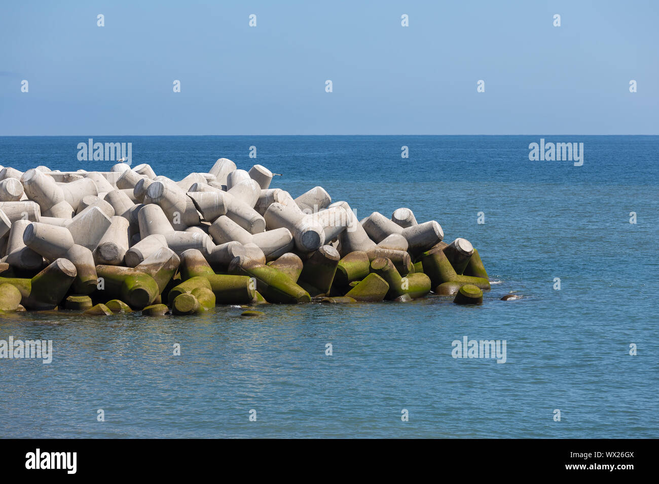 Tetrapod structure hi-res stock photography and images - Alamy