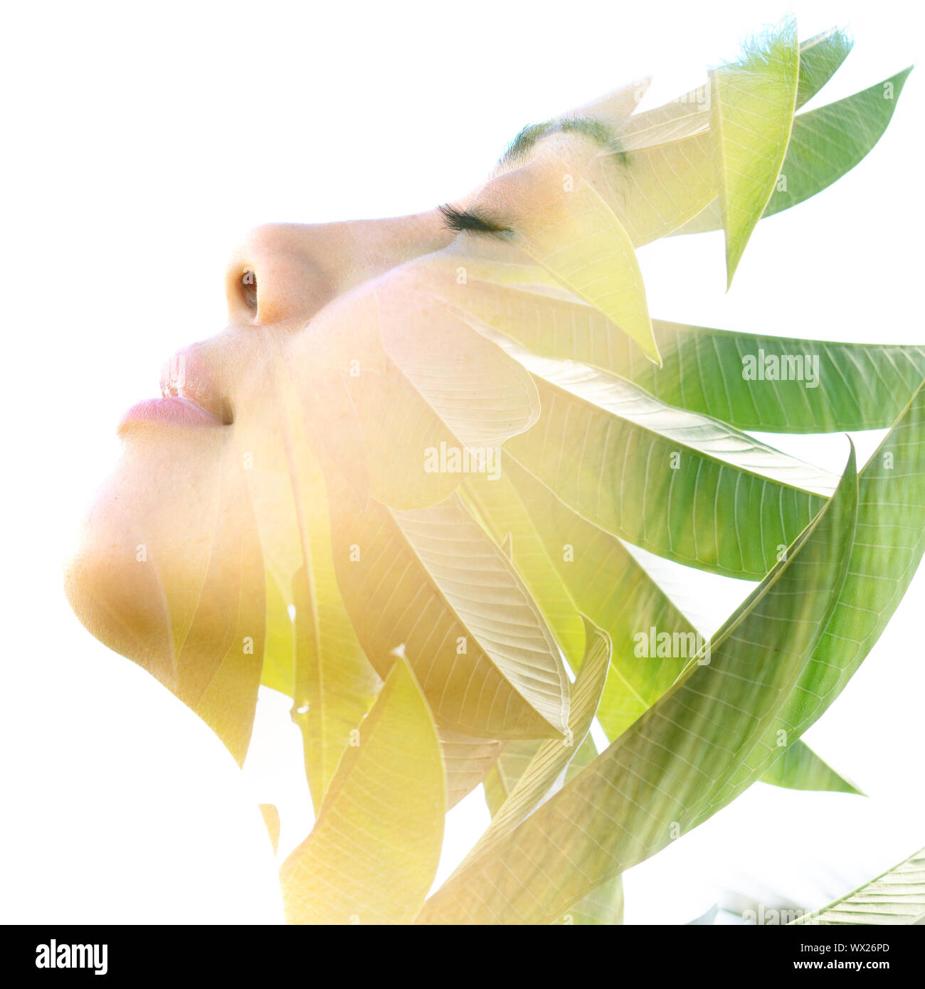 Double exposure with an ecological concept showcasing the beautiful ...