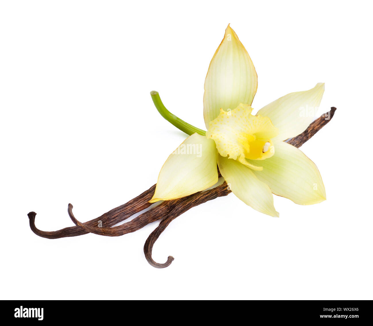 Vanilla pods and flower Stock Photo - Alamy