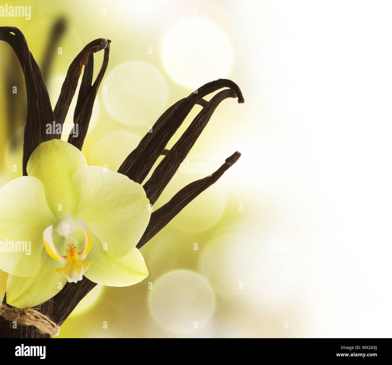 Beautiful Vanilla Border Stock Photo - Alamy