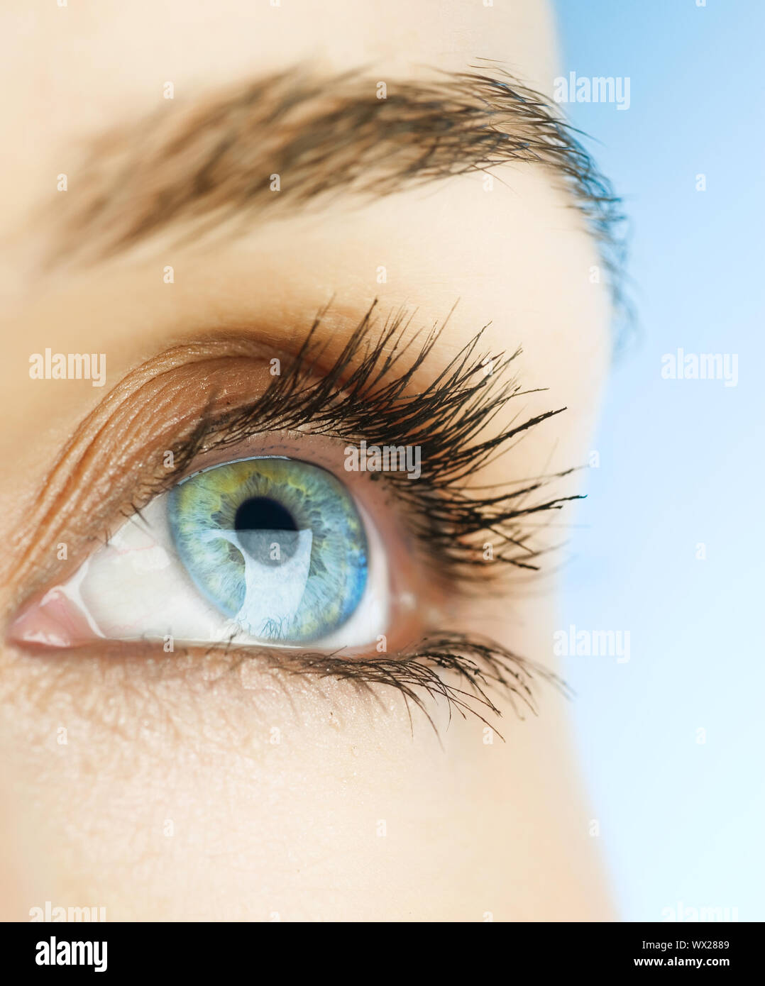 Beautiful Woman Eye Stock Photo - Alamy