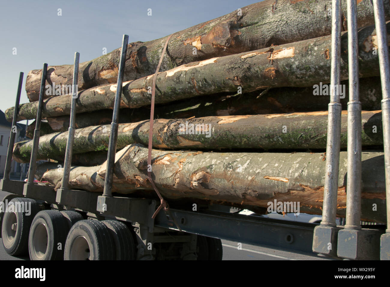 Timber truck with load of tree trunks Stock Photo - Alamy