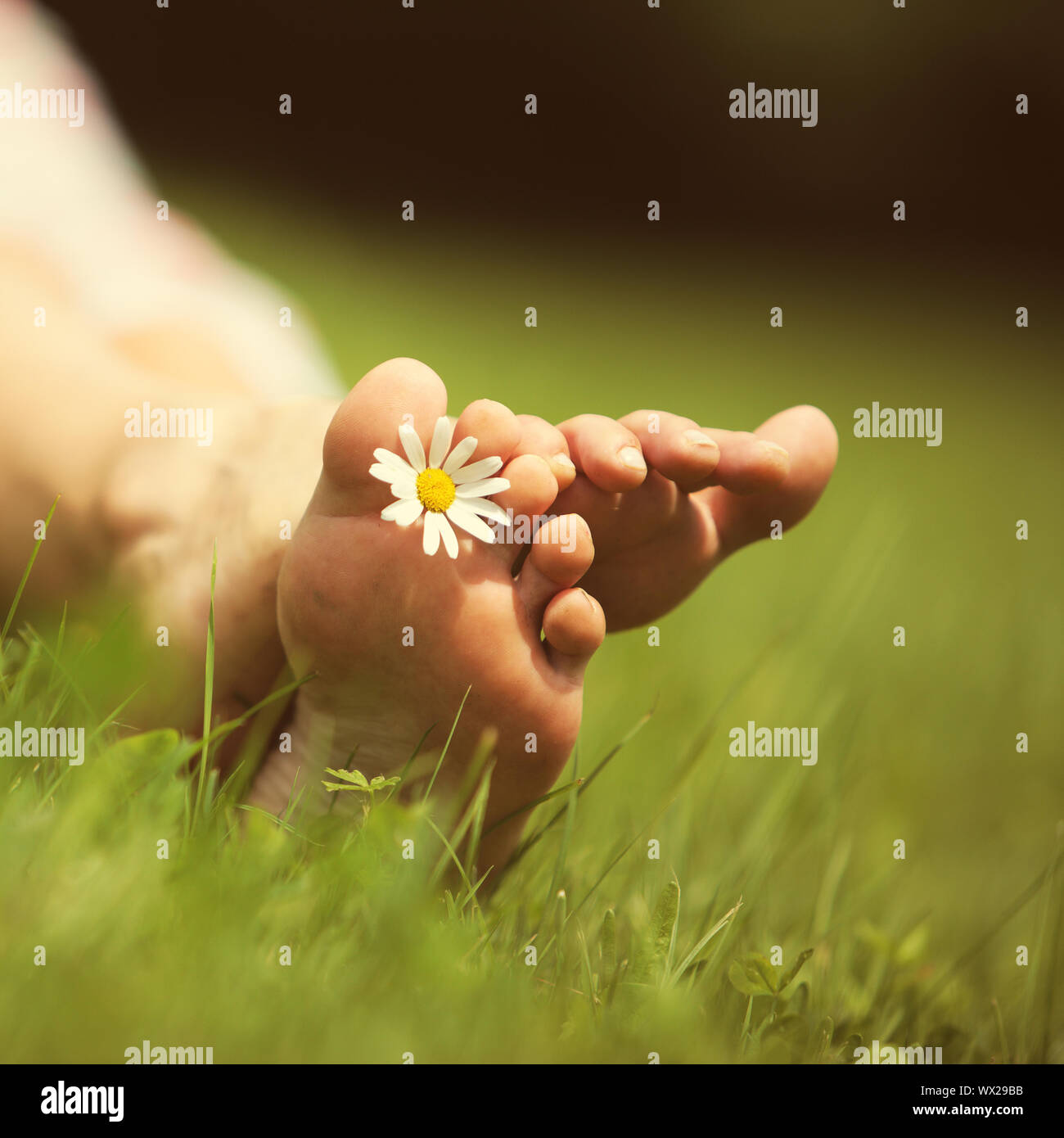 Daisy and bare feet on green grass, copy space Stock Photo - Alamy