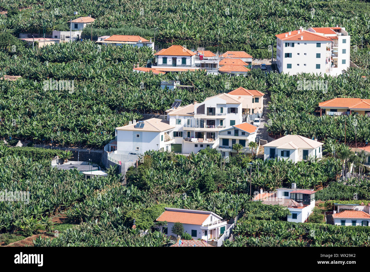 Aerial view banana plantations hi-res stock photography and images - Alamy