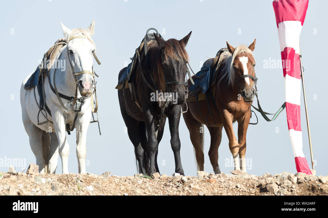 Three scenery hi-res stock photography and images - Alamy
