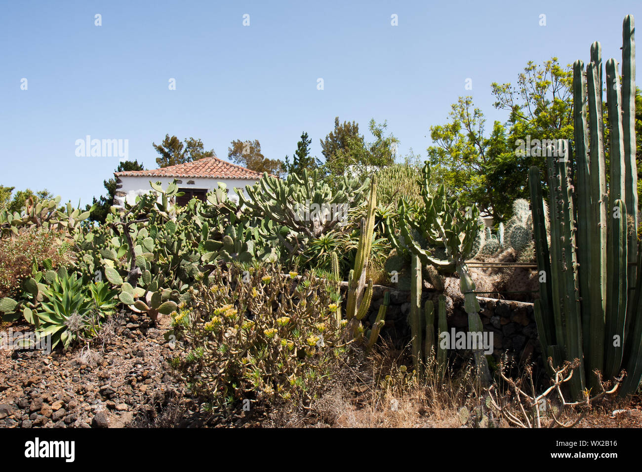 House with cactus garden at La Palma, Canary Islands, Spain Stock Photo ...