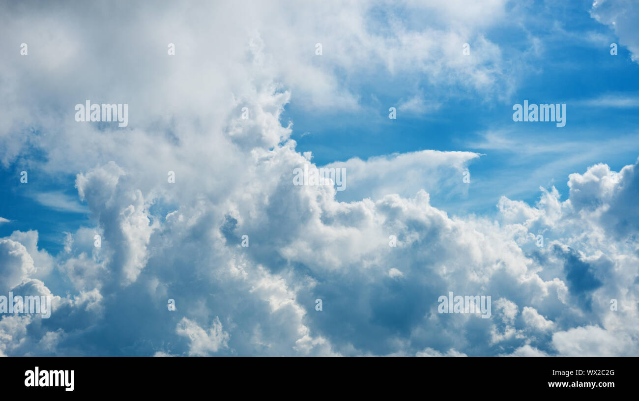 Blue environment hi-res stock photography and images - Alamy