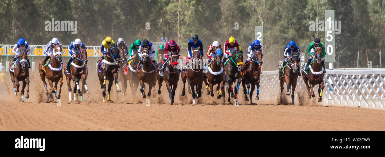 Horse Racing at King Khalid Racetrack, Taif, Saudi Arabia 28/06/2019 ...