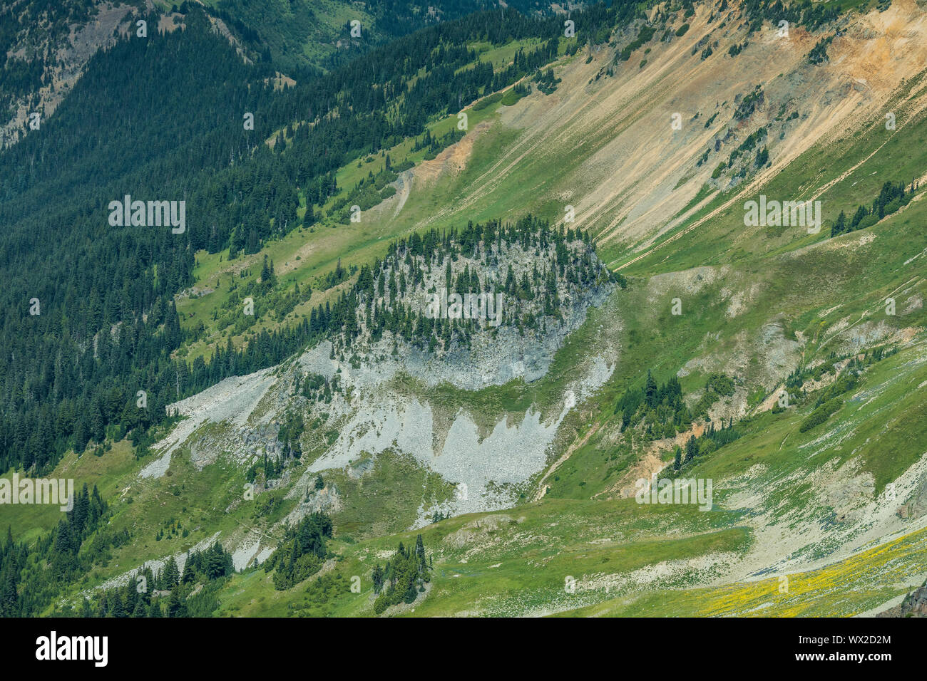 Goat rocks dome hi-res stock photography and images - Alamy