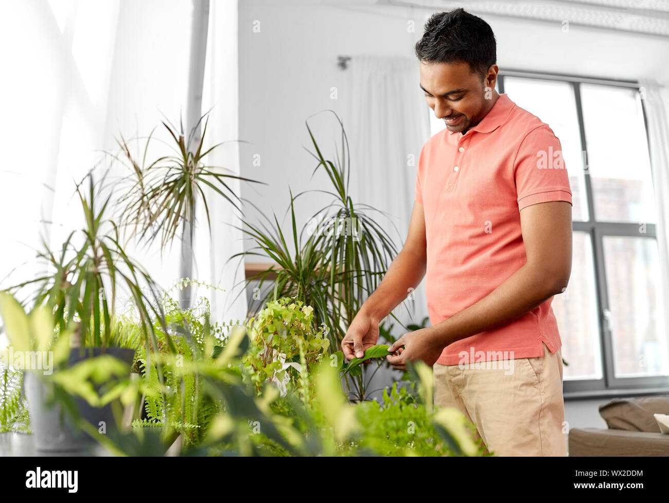 Indian home houseplants hi-res stock photography and images - Alamy