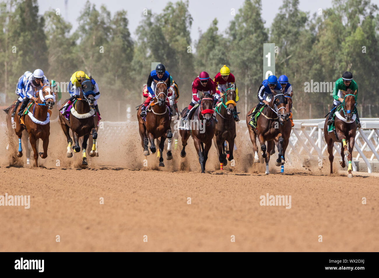 Horse Racing at King Khalid Racetrack, Taif, Saudi Arabia 28/06/2019 ...