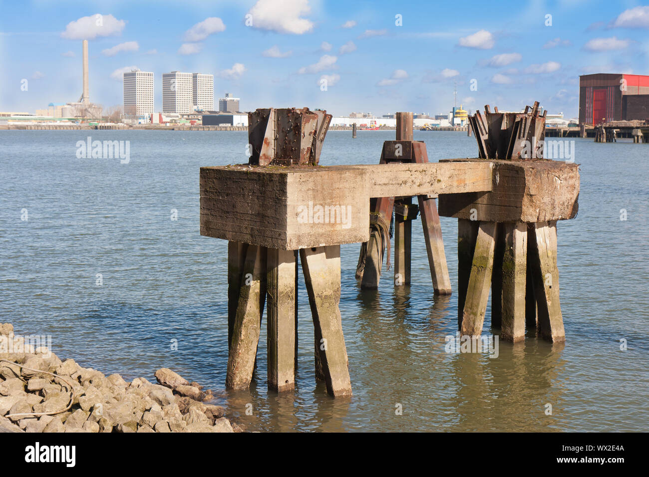 Piles of an old jetty in the harbor of Rotterdam, The Netherlands Stock ...