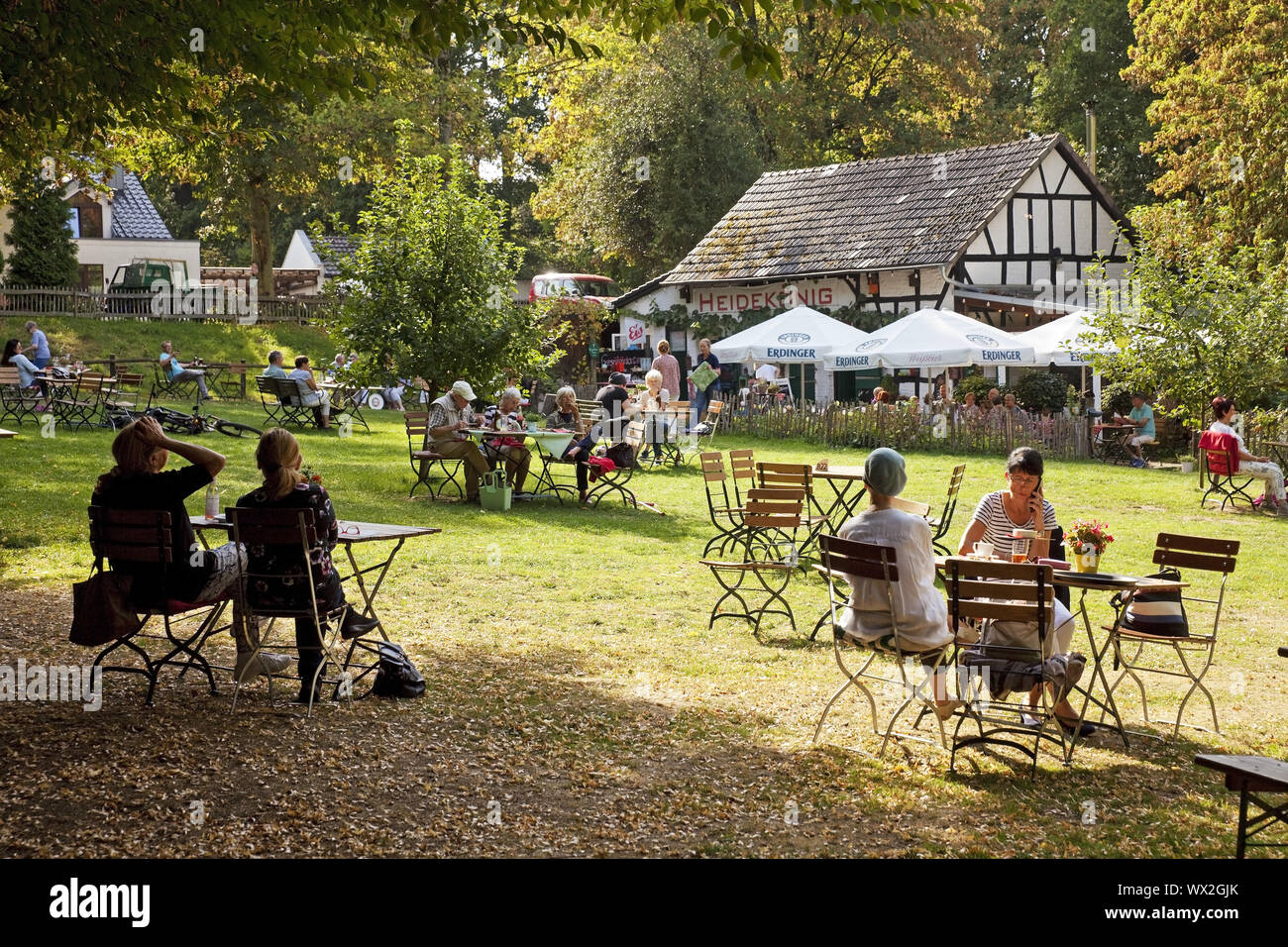 Heidekoenig hi-res stock photography and images - Alamy