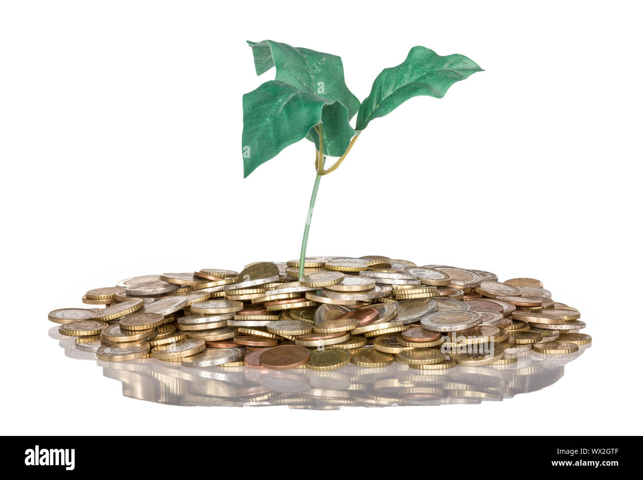 Pile of coins with money tree isolated at a white background Stock ...