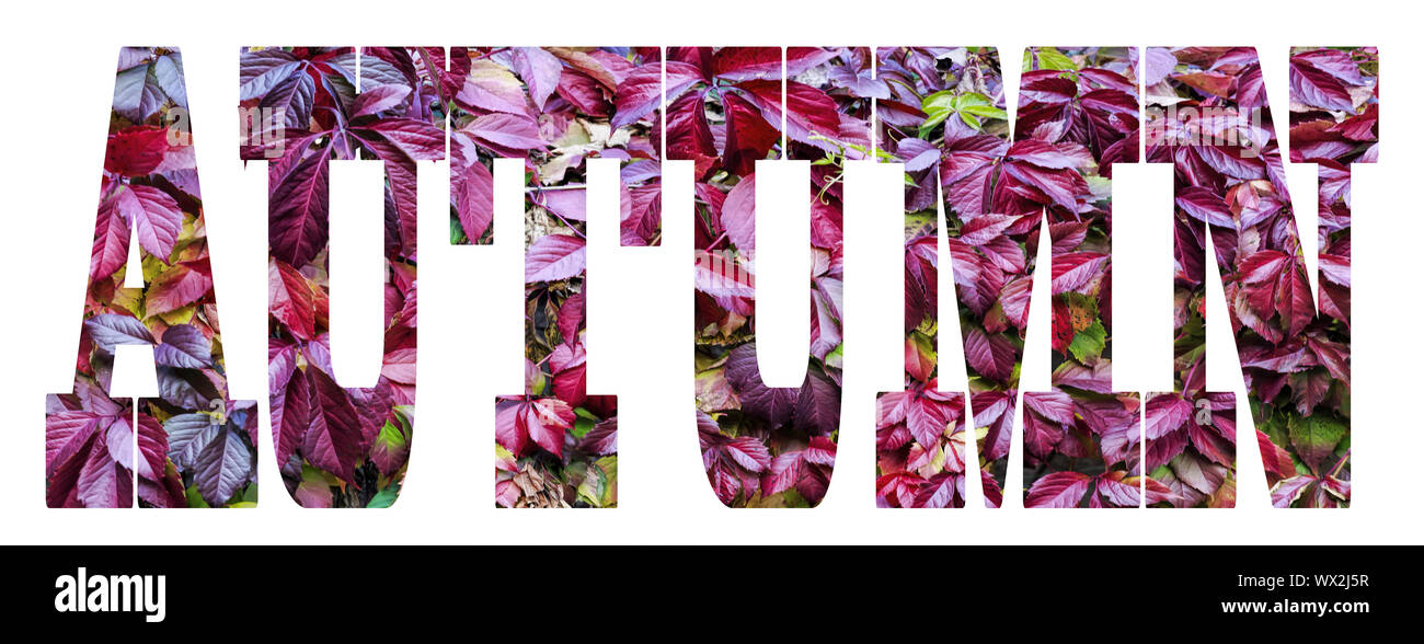 Font AUTUMN, Word AUTUMN , multi-colored autumn leaves, design Stock ...