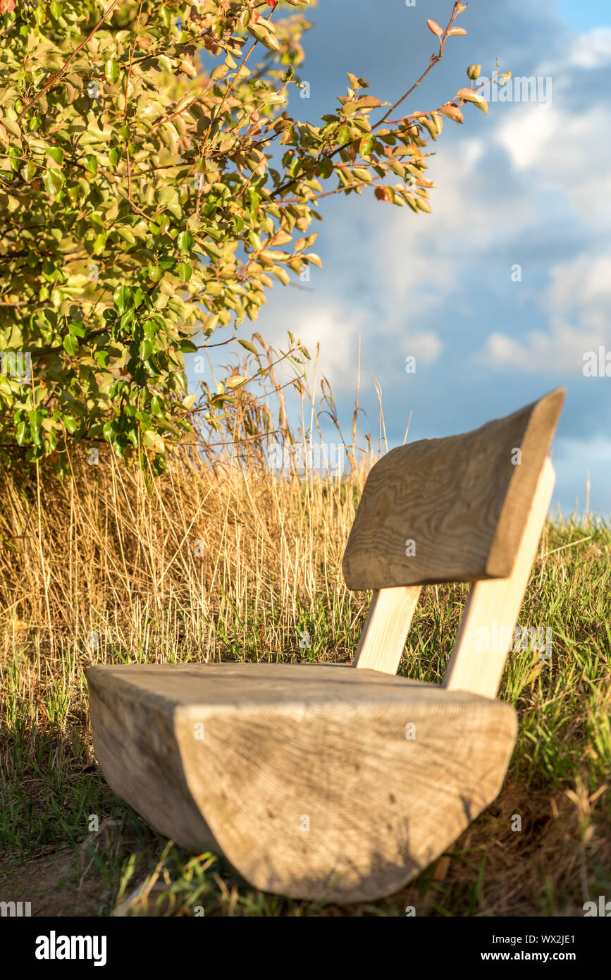 Trunk bench to be resting Stock Photo - Alamy