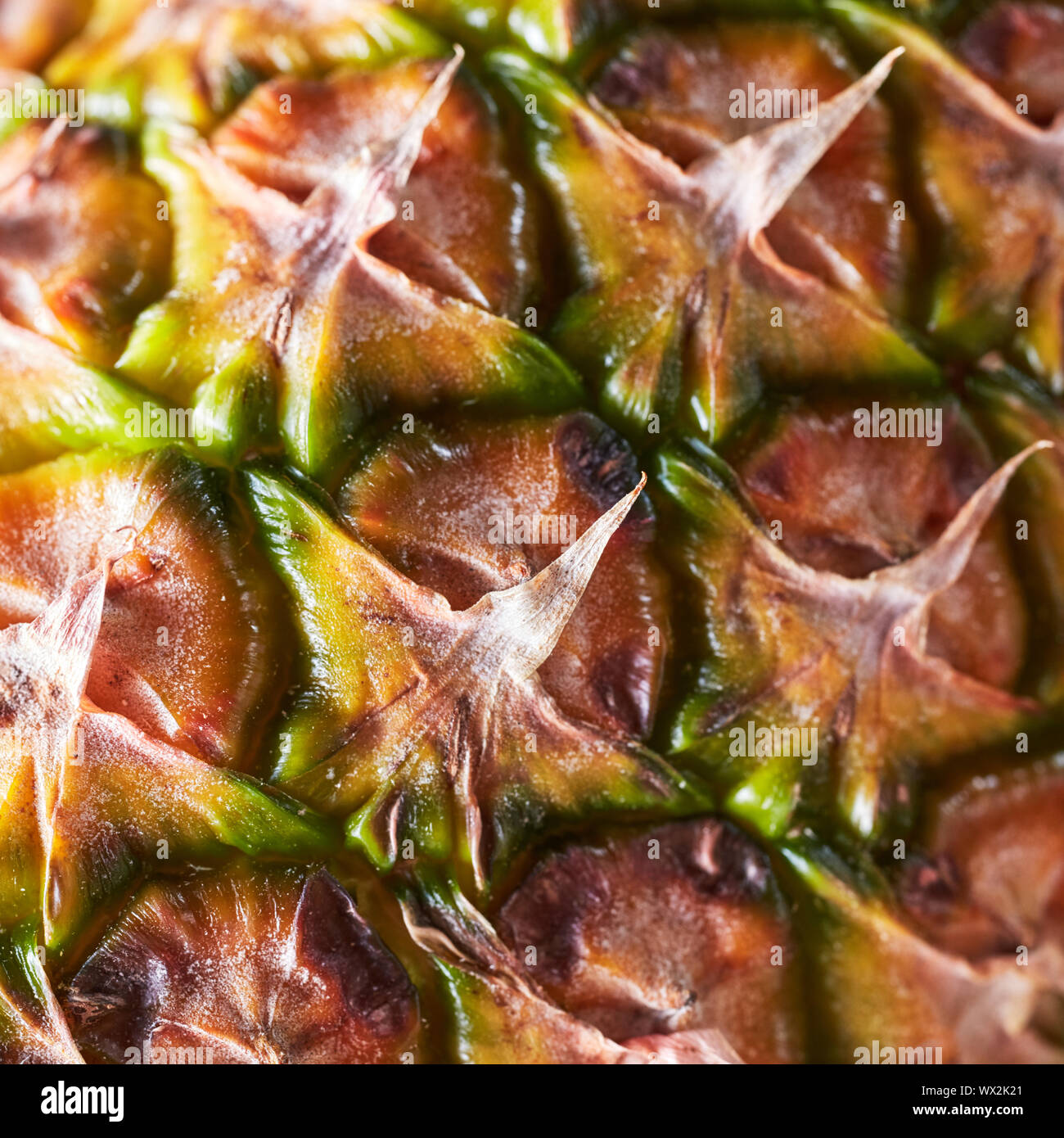 Close-up of pineapple skin, texture of fruit. Tropical exotic fruts ...