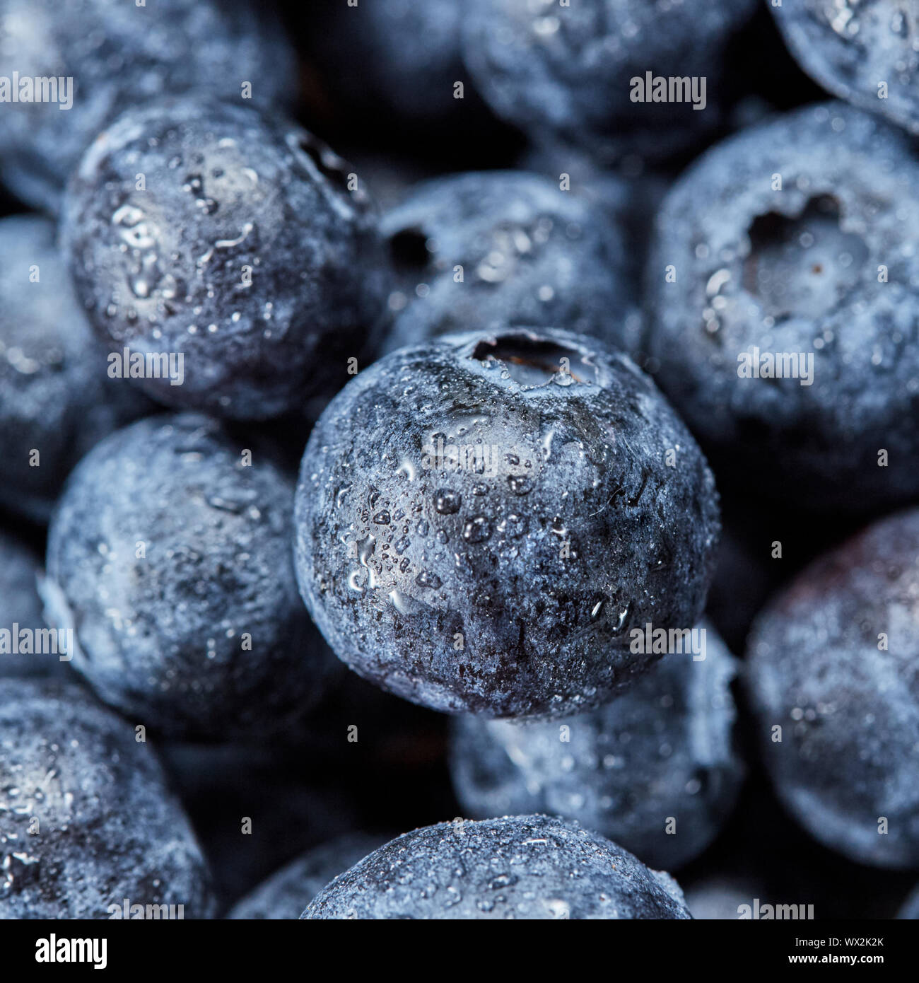 Summer blueberries background from natural organic freshly picked ...