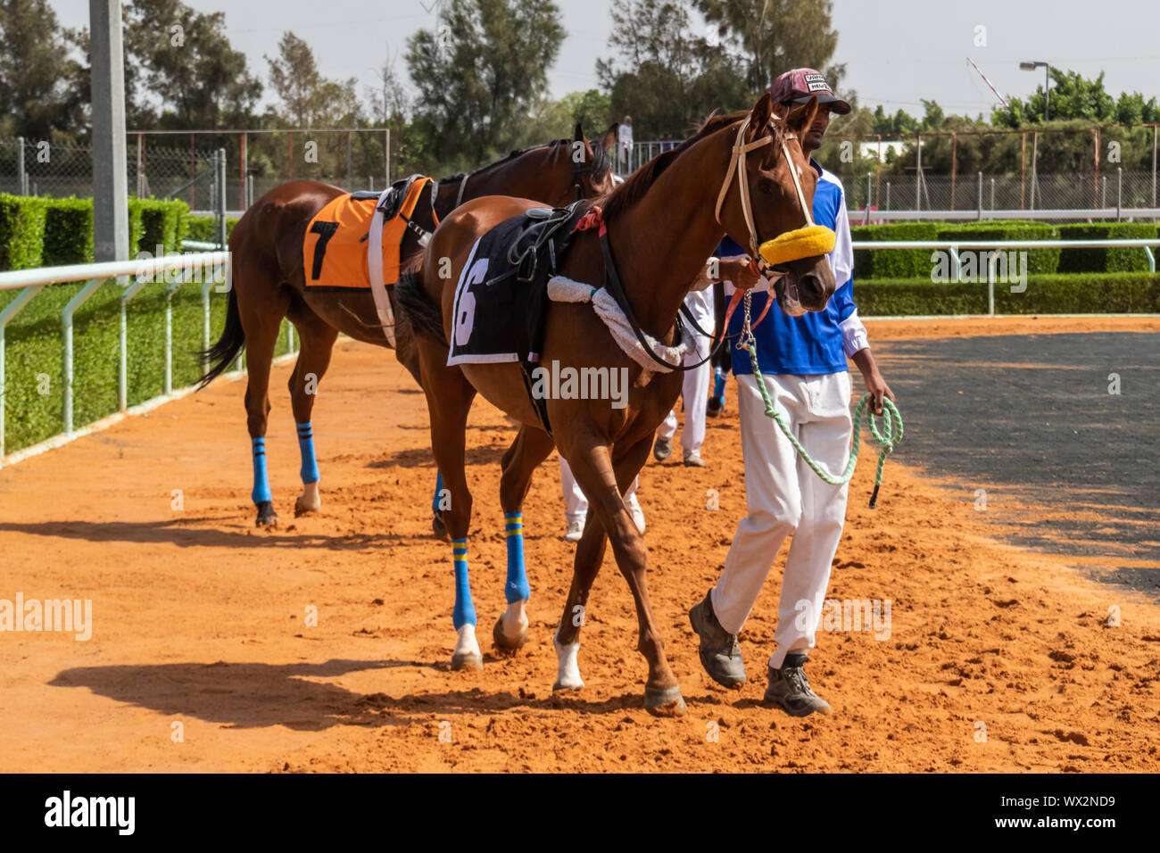 Horse Racing at King Khalid Racetrack, Taif, Saudi Arabia 28/06/2019 ...