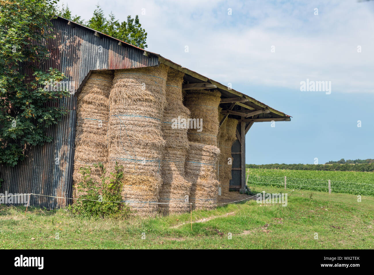 Shed with pile of haystacks in Normandy, France Stock Photo - Alamy