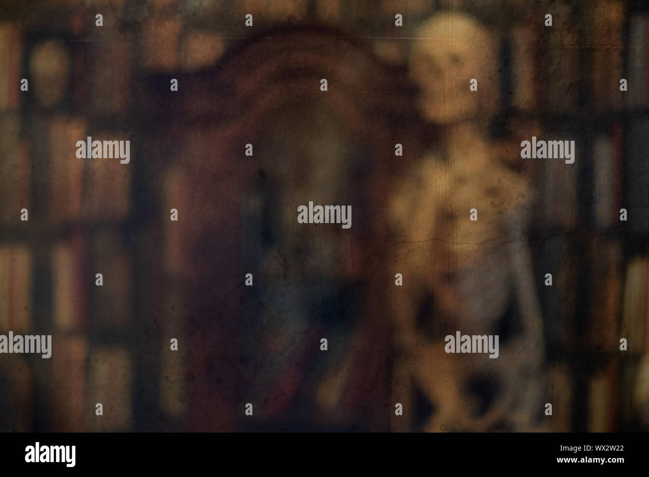 Texture skeleton with old library Stock Photo - Alamy