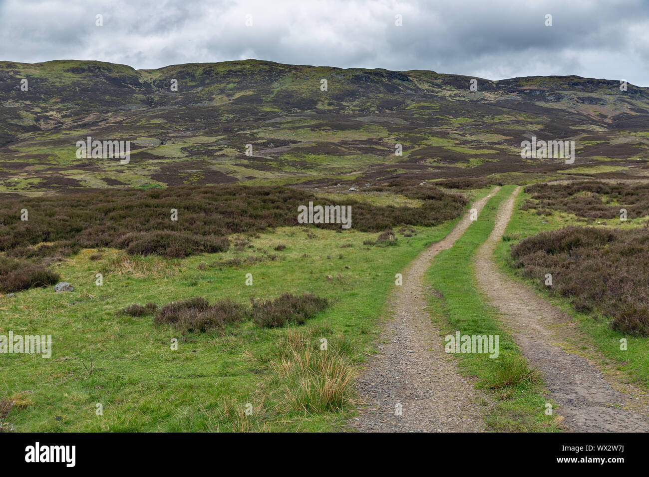 Unpaved country road in Scottish Highlands near Loch Tay Stock Photo ...