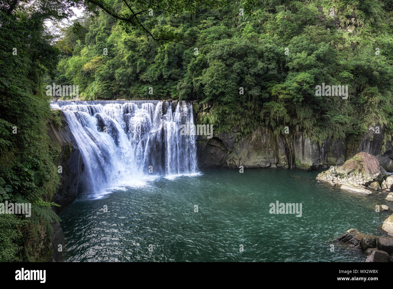 Taiwanese forest hi-res stock photography and images - Alamy