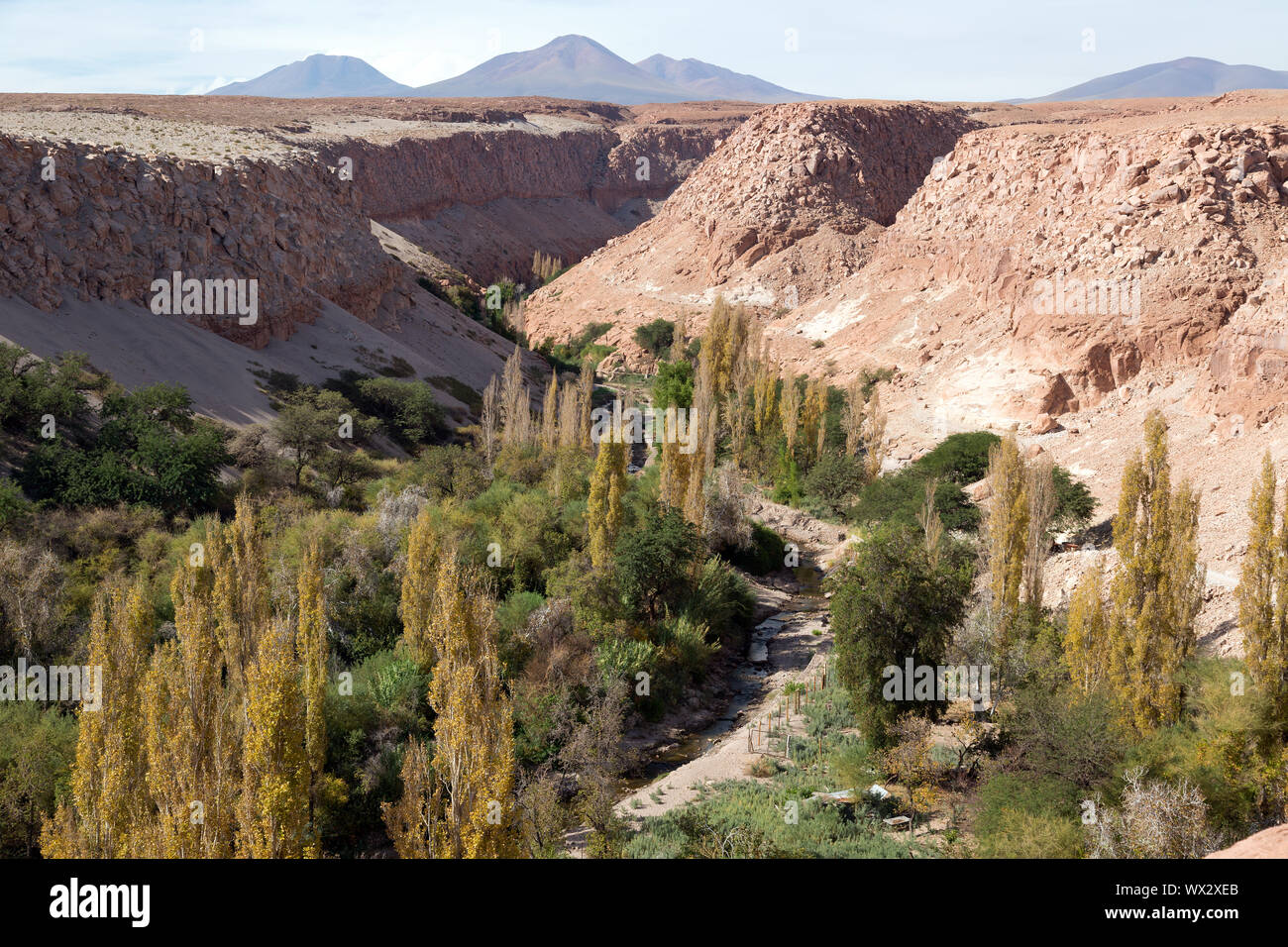 De jere hi-res stock photography and images - Alamy