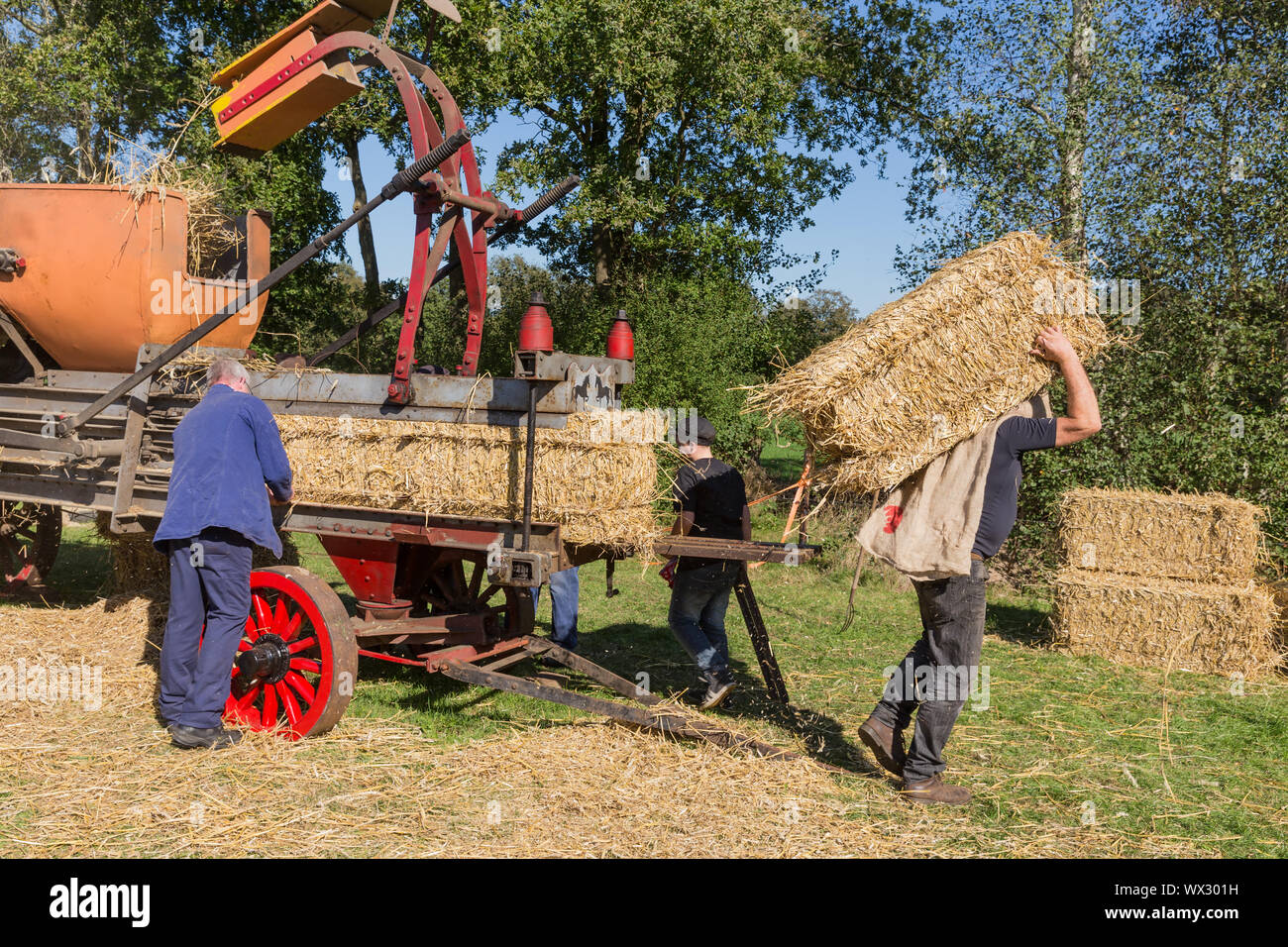 Farmers harvesting and collecting hay during agricultural festival, the ...