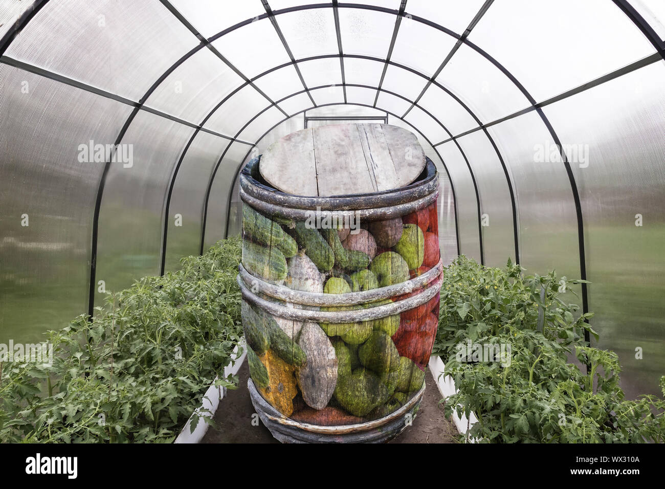 An abstract image with an unexpected concept of the future harvest ...