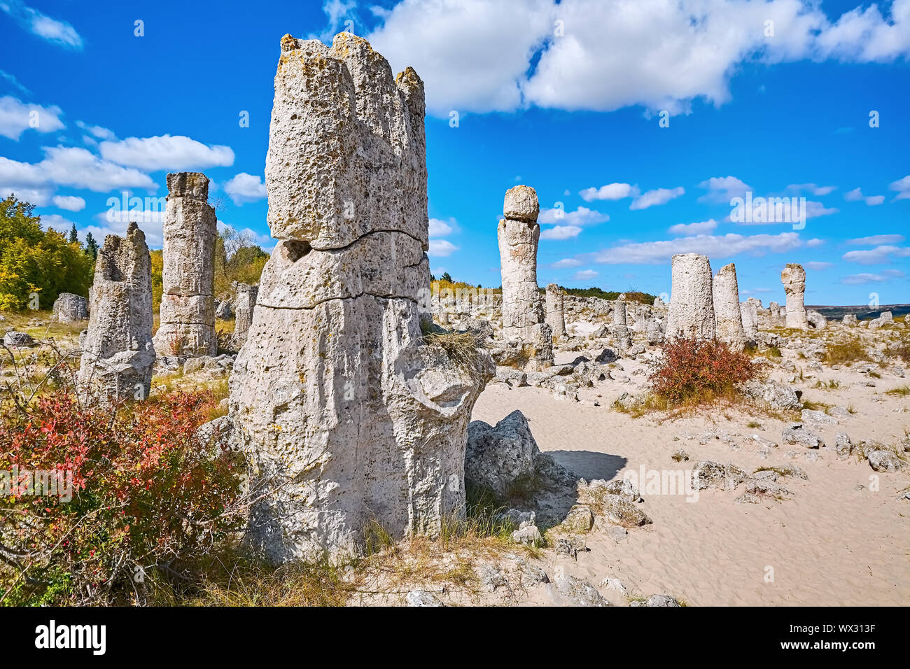 The Stone Desert Stock Photo - Alamy