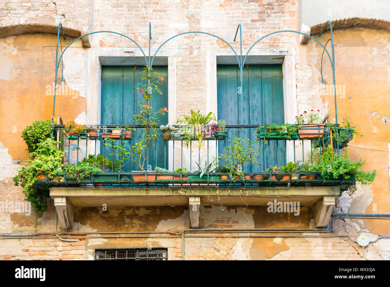 Windows with flowers in old house Stock Photo - Alamy