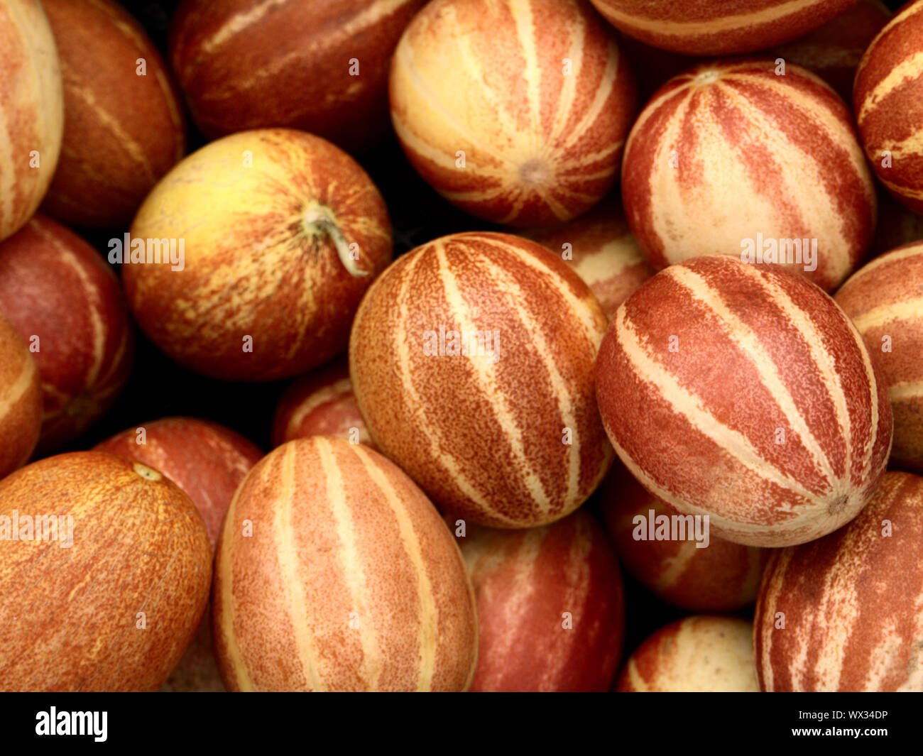 Small striped Vietnamese melons Stock Photo - Alamy