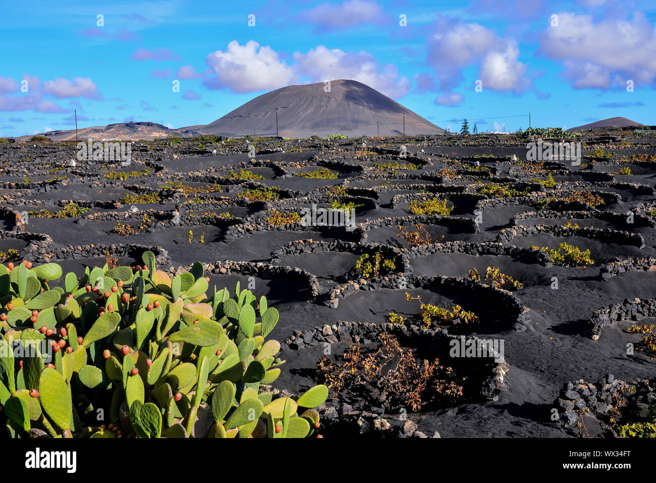 Landscape in Tropical Volcanic Canary Islands Spain Stock Photo - Alamy