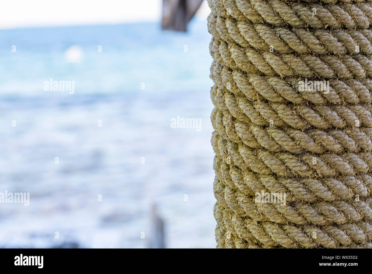Rope around tree hi-res stock photography and images - Alamy