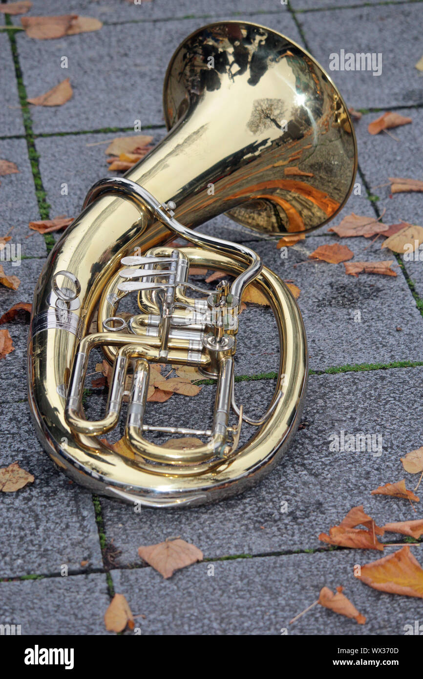 Leaf instrument hi-res stock photography and images - Alamy