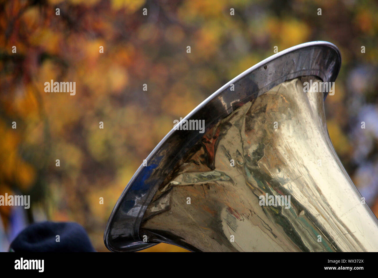 Leaf instrument hi-res stock photography and images - Alamy