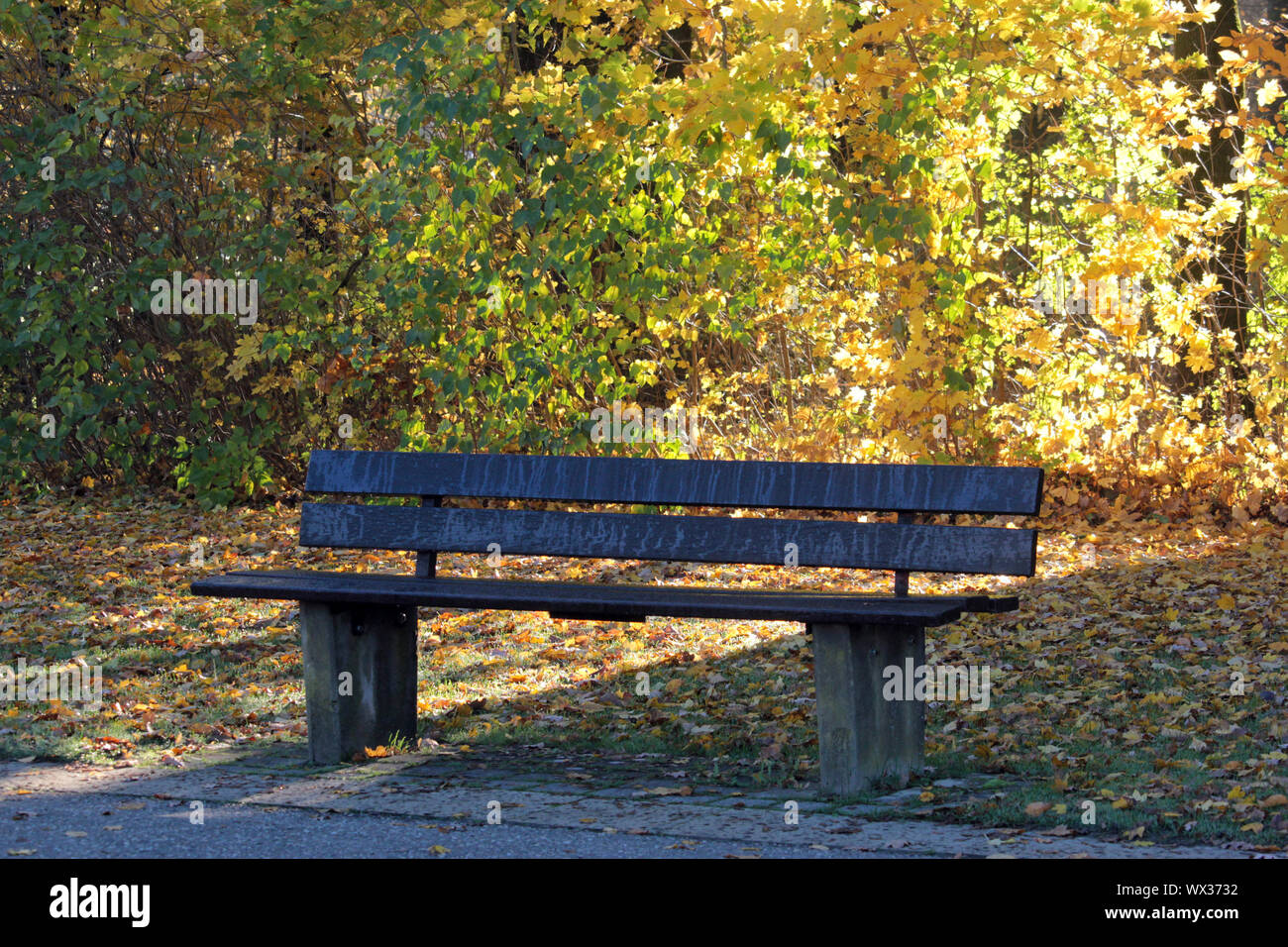 Bad bench hi-res stock photography and images - Alamy