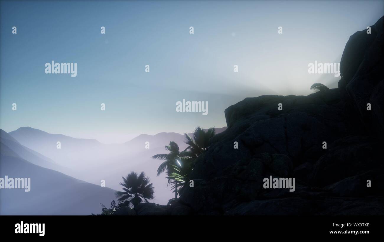 4k Mountain, field landscape with Palm trees. Jungle. Aerial view Stock ...