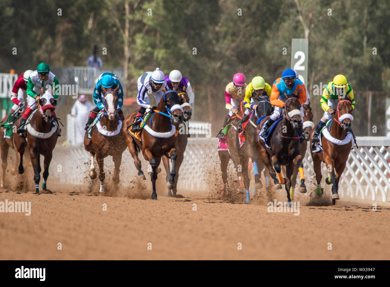 Horse Racing at King Khalid Racetrack, Taif, Saudi Arabia 28/06/2019 ...