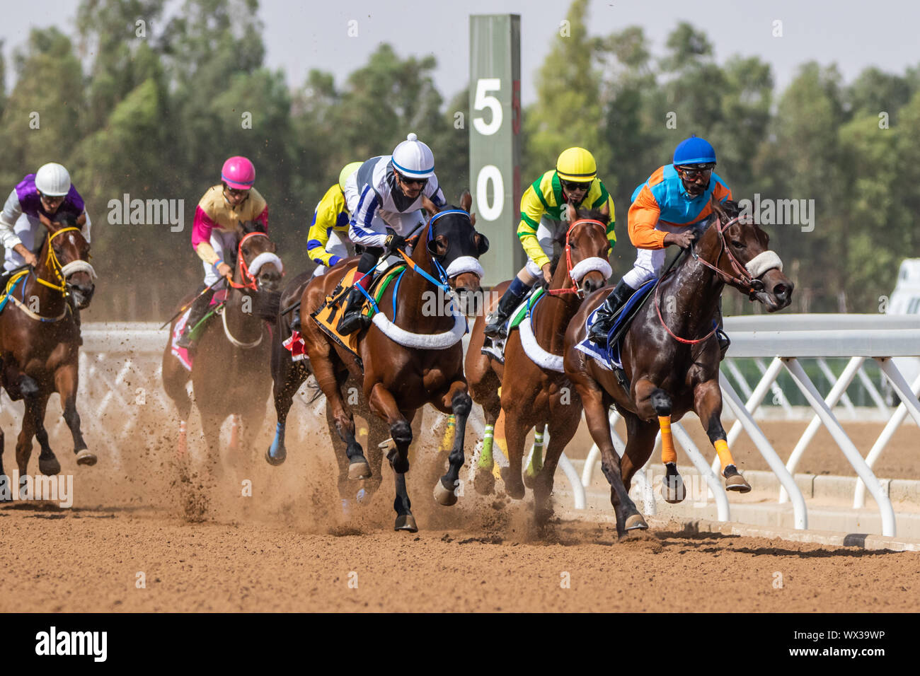 Horse Racing at King Khalid Racetrack, Taif, Saudi Arabia 28/06/2019 ...