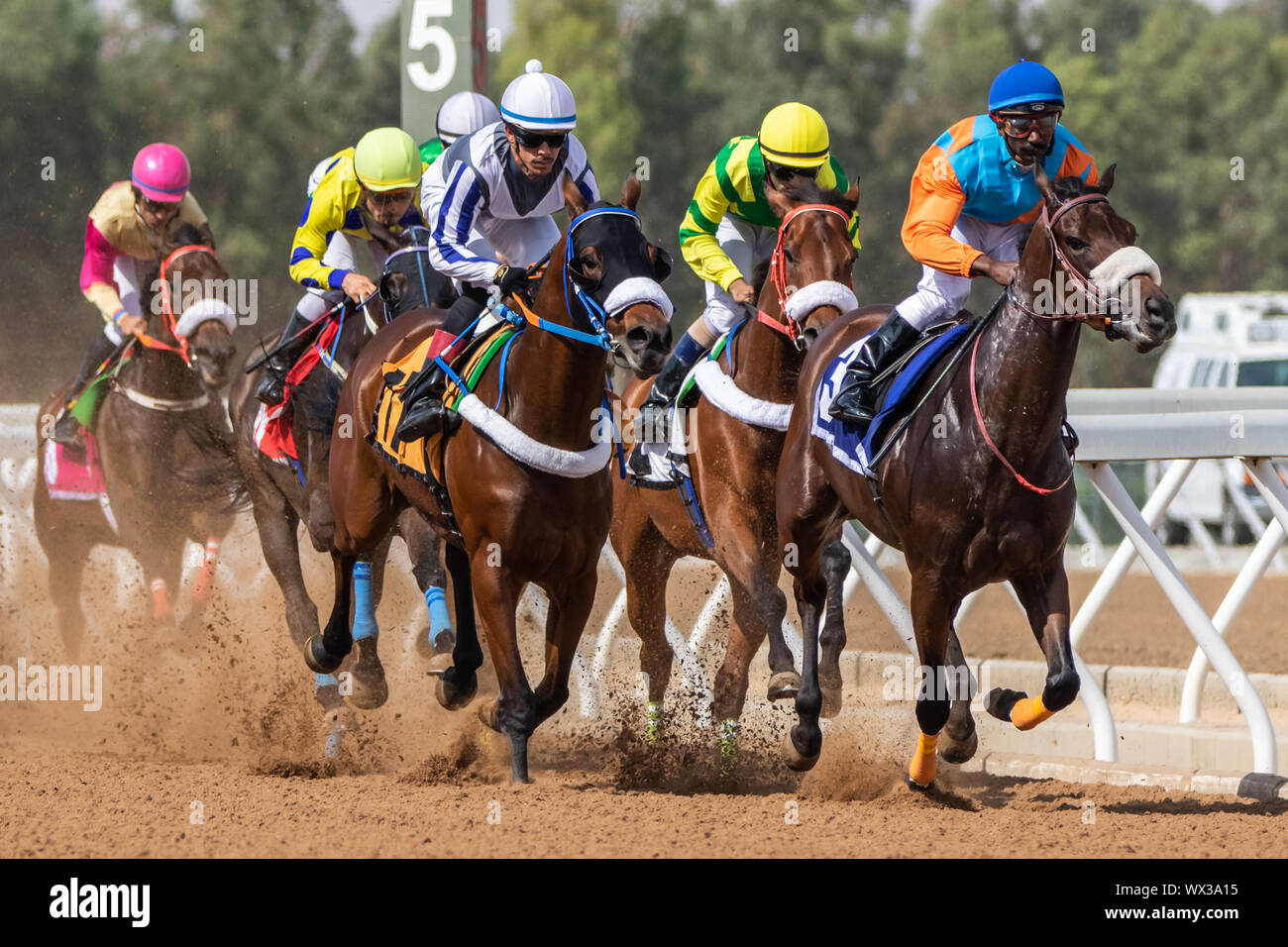 Horse Racing at King Khalid Racetrack, Taif, Saudi Arabia 28/06/2019 ...