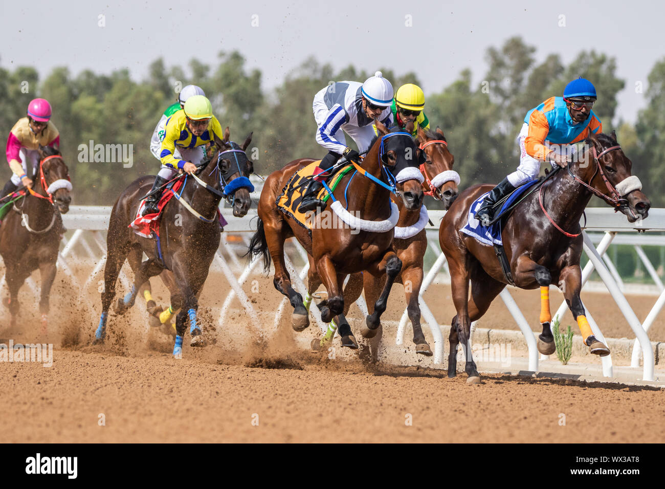Horse Racing at King Khalid Racetrack, Taif, Saudi Arabia 28/06/2019 ...